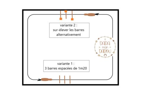 Travail du jeune cheval sur le plat, 3 exercices indispensables ...