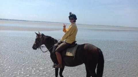 Dadou bloqué (ou stressé) les 3 idées reçues sur les promenades qui ...